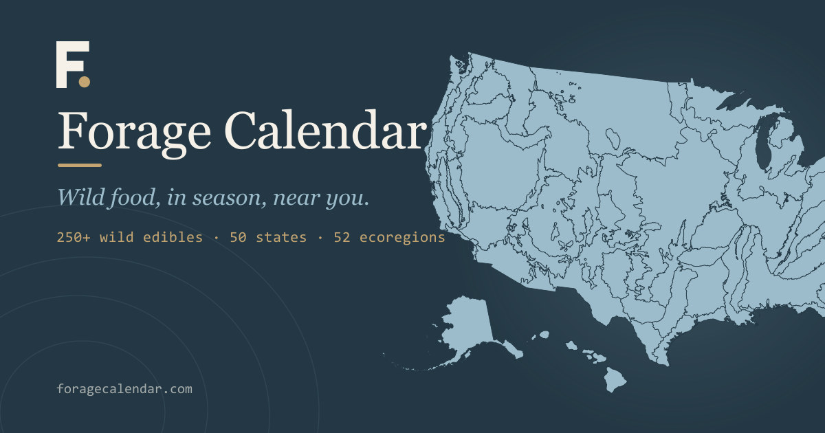 Forage Calendar: Wild Food Foraging Calendar for All 50 States
